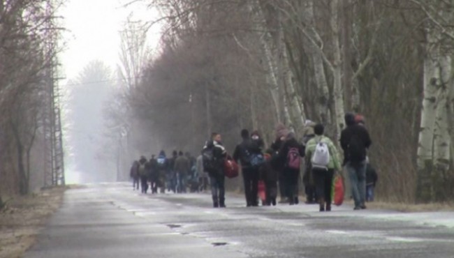 Lëvizjet e popullsisë. Migrimi dhe emigrimi në periudha të ndryshme ...