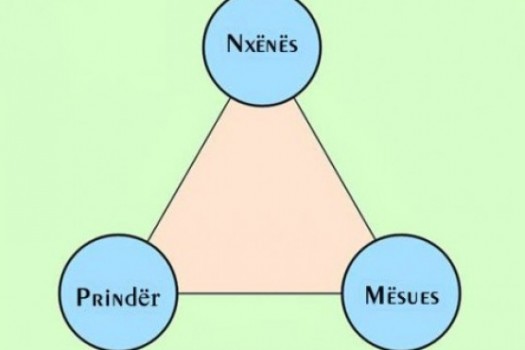 "Le të jemi trekëndëshi që nuk na thyhen kulmet" - Portali Shkollor