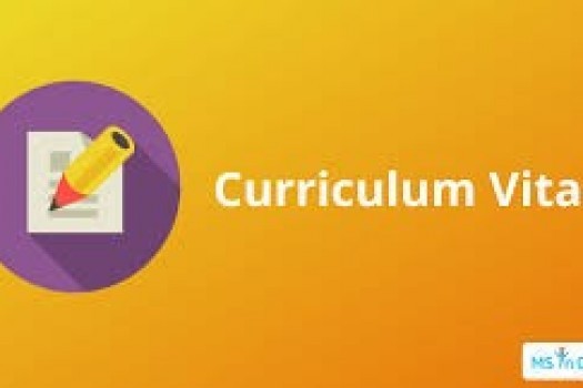 Si të përpiloni një CV - Portali Shkollor