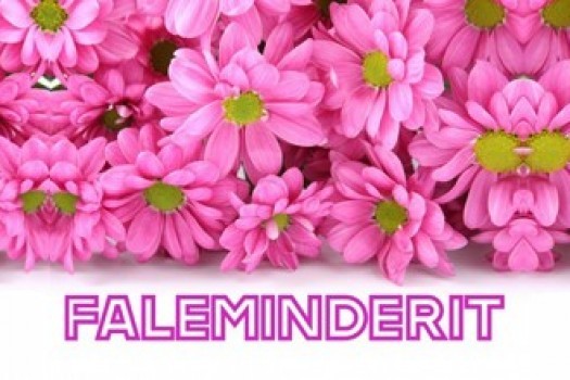 Thuaji faleminderit mësuesit! - Portali Shkollor