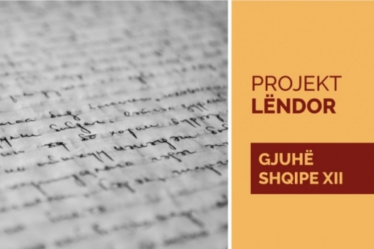 Projekt lëndor, tema: Si ta mbroj gjuhën shqipe nga pasaktësitë, nga ...