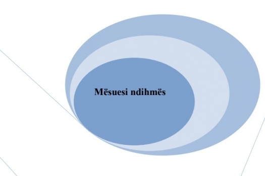Model ditari për mësuesit ndihmës - Portali Shkollor