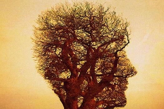 “Pema e jetës”, poezi nga nxënësi Daniel Liko - Portali Shkollor