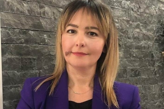 Punonjësja sociale Emanuela Dervishi: Dhuna në shkollë, tregues i ...