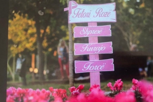 "Tetori rozë", si promovohet në shkollat tona kjo nismë? - Portali Shkollor